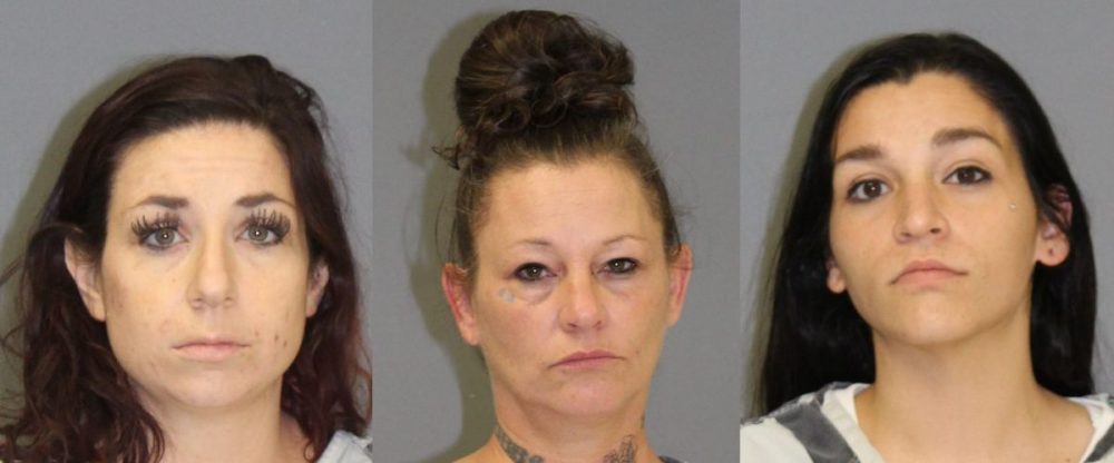 Cheyenne Carter's Instagram, Twitter & Facebook on IDCrawl